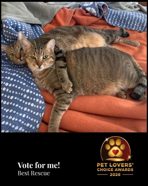 Davey and Michael | Pet Lovers' Choice Awards