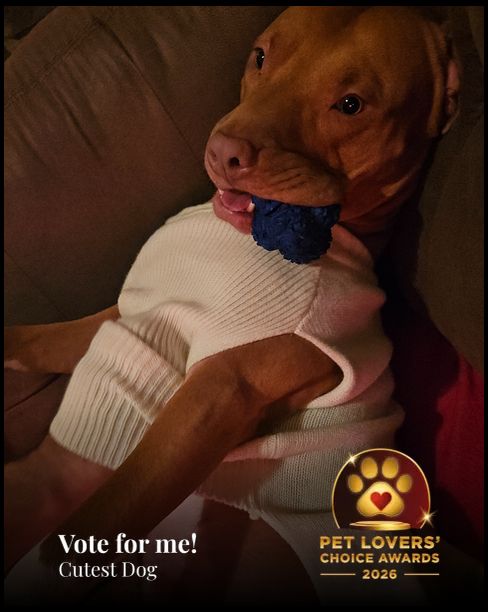 LaLa | Pet Lovers' Choice Awards