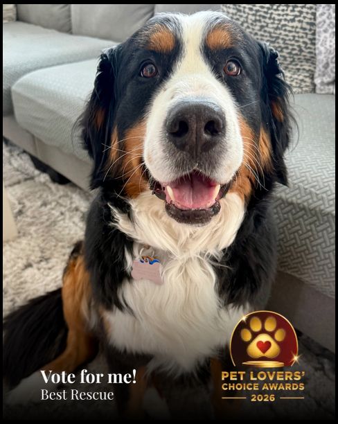 River | Pet Lovers' Choice Awards