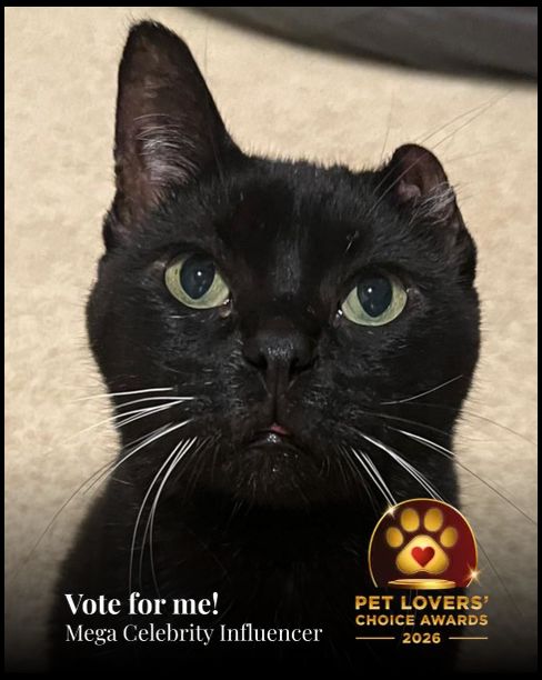 Uno | Pet Lovers' Choice Awards