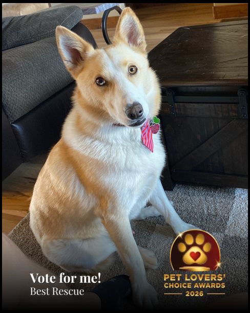 Hopper | Pet Lovers' Choice Awards