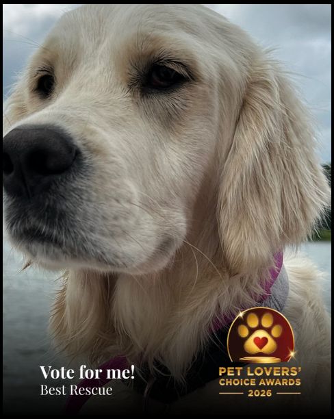 Toni Russell | Pet Lovers' Choice Awards