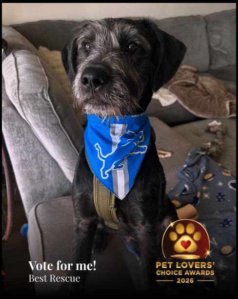 Duke | Pet Lovers' Choice Awards