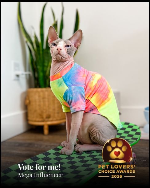 Marshall | Pet Lovers' Choice Awards