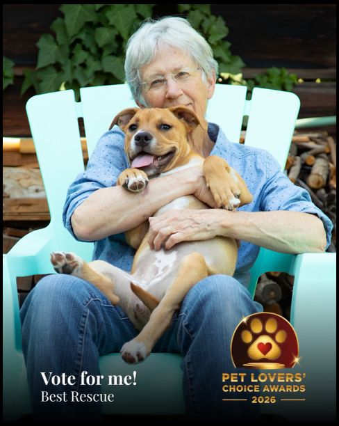 Shea | Pet Lovers' Choice Awards