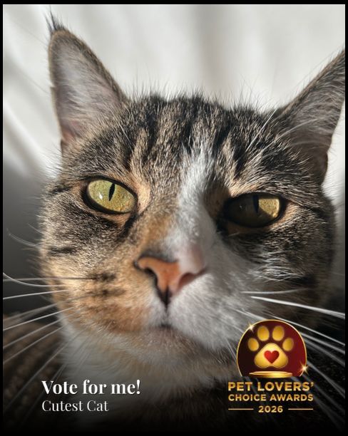 Ivy aka Moo Moo | Pet Lovers' Choice Awards