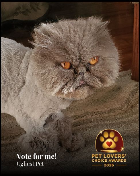 TWINKLE | Pet Lovers' Choice Awards